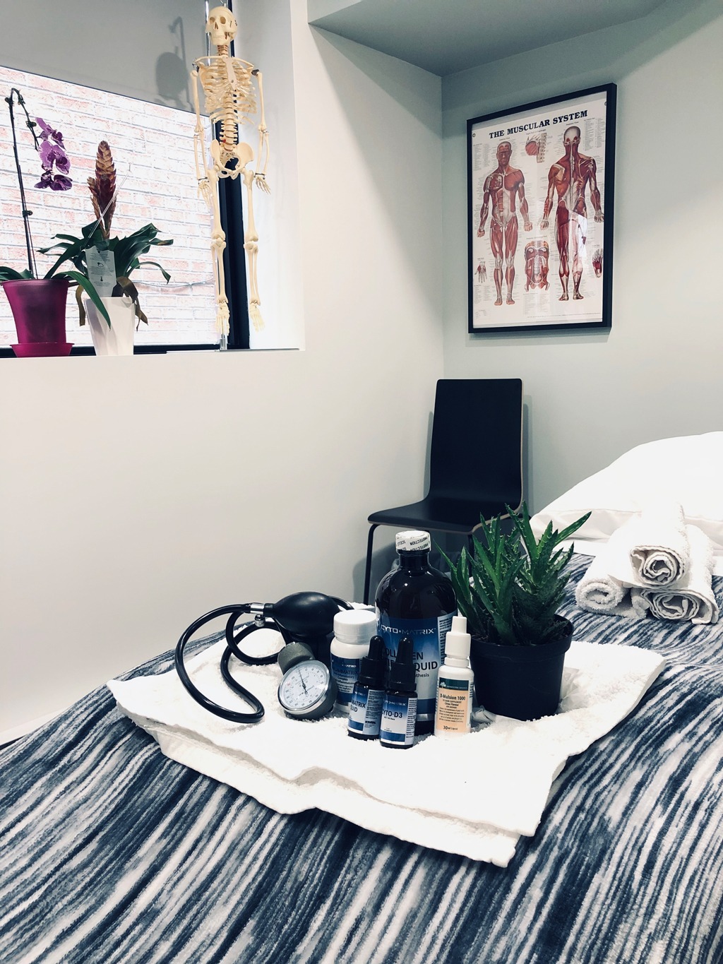 Naturopathy North York | Toronto| Naturopatic Clinic| Motion Care ...